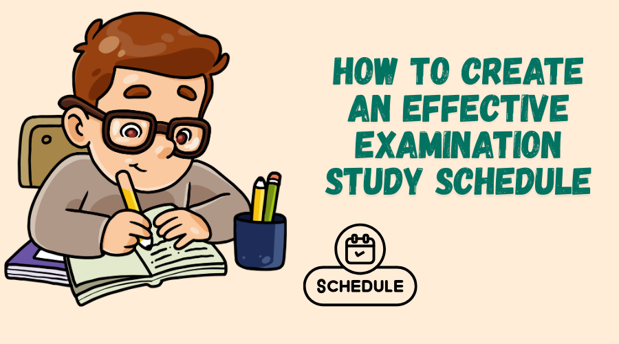 How to Create an Effective Examination Study Schedule
