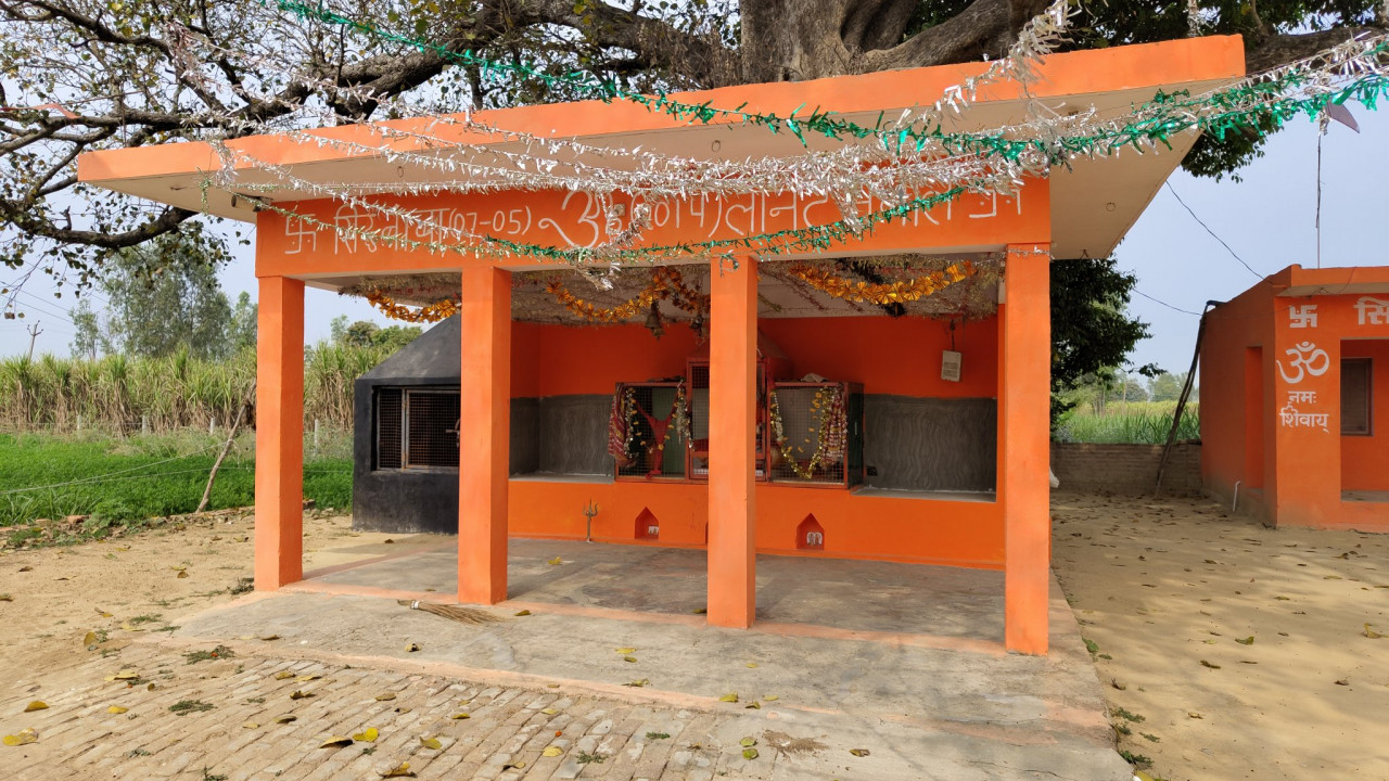 Uttar pradesh divine sign devotees stunned as dog circles idols in ...